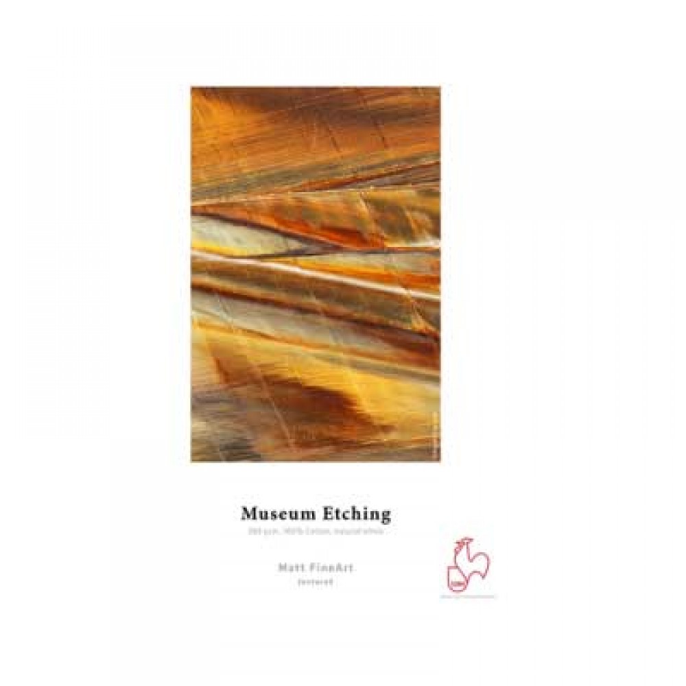 Hahnemuhle Museum Etching Paper 432mm 17" x 12m Roll | Prizma Graphics